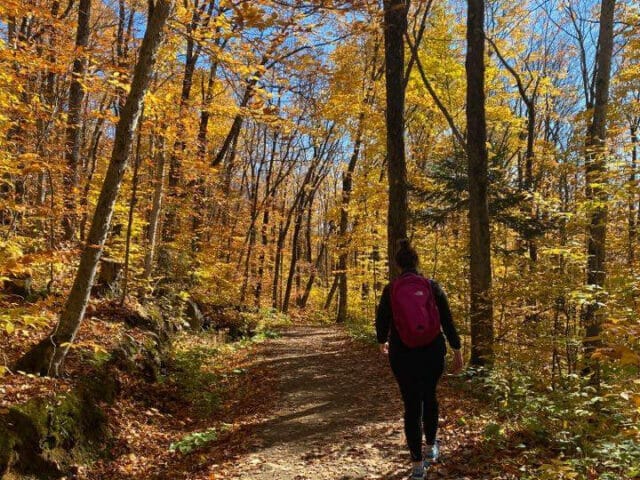 Sentier en automne - Photos Réserve national de faune du Cap-Tourmente
