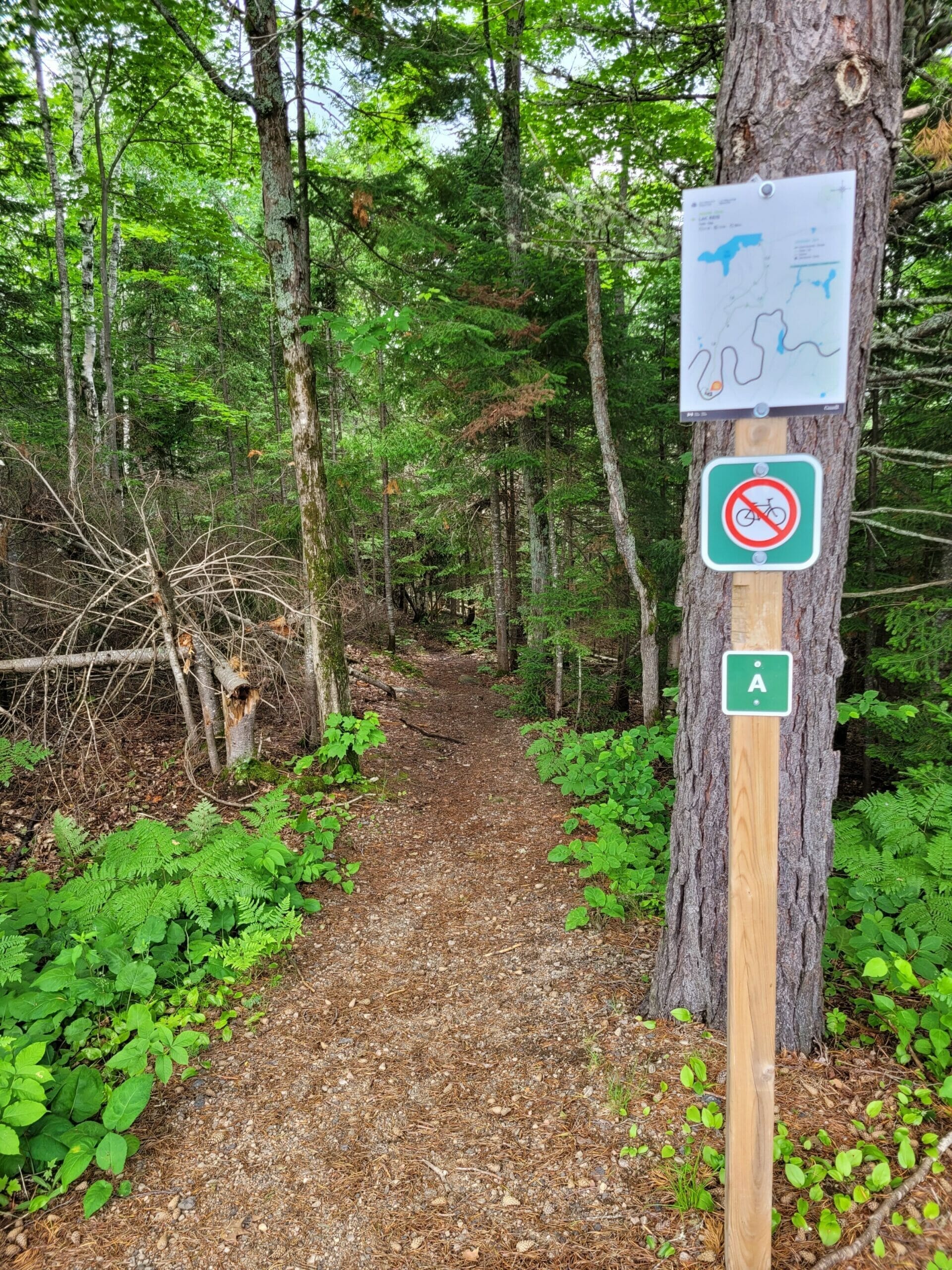 Reid Lake Trail - GPS - Hiking trail